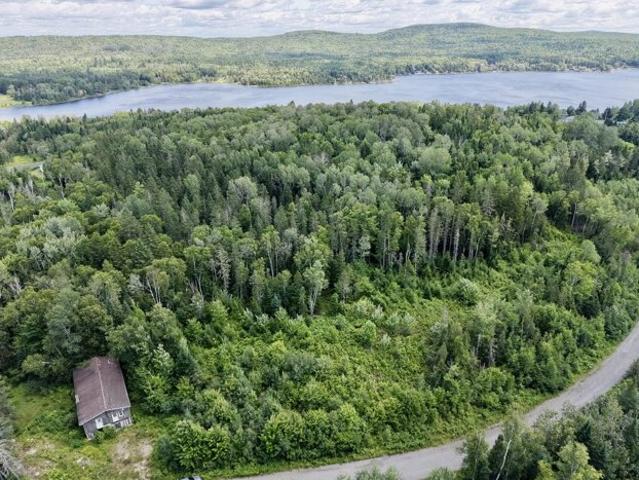 Clark Brook Rd, Wallagrass, Home For Sale