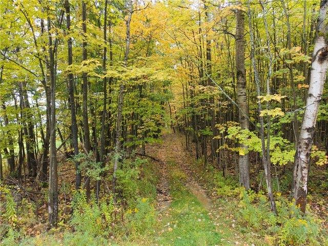 Clark Rd, Hornell, NY 14843