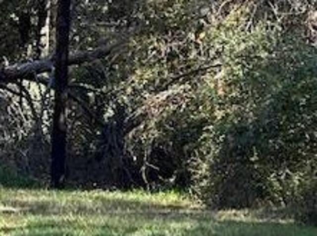 Clark Rd Lot 24, Plantersville, TX 77363