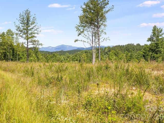 Clark Rd Lot 2, Rutherfordton, NC 28139