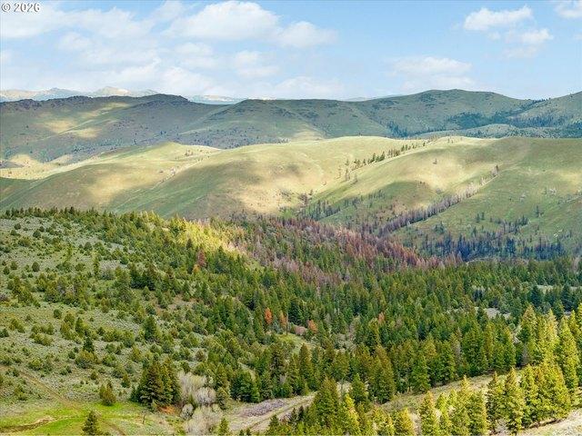 Clarks Creek Rd, Bridgeport, OR 97819