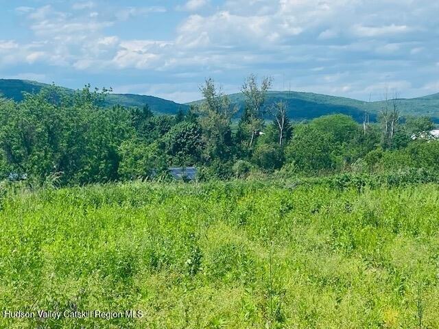 Clarks Ln, Marlboro, NY 12542