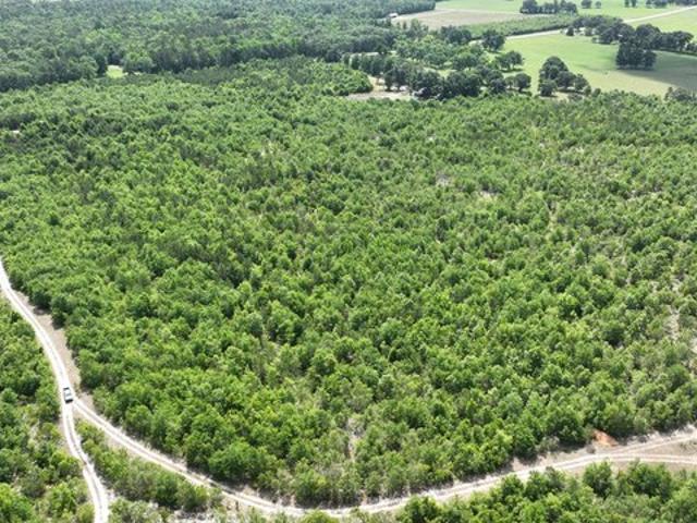 Clarks Mill Rd, Avera, GA 30803