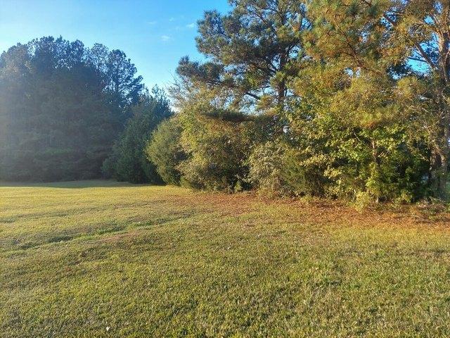 Clary Cut Rd, Appling, GA 30802