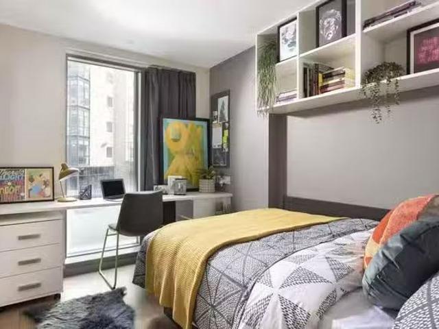 Classic Accessible Studio