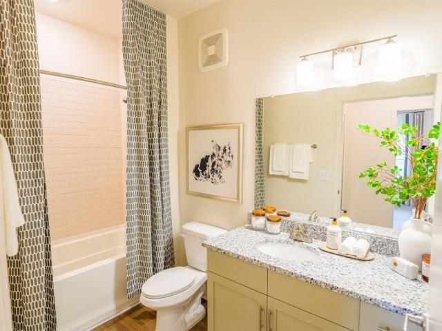 Classic City Flats | Luxury Apartments 3 Bedroom Apartment for Rent at 157 Talley Xing, Athens, GA 30601