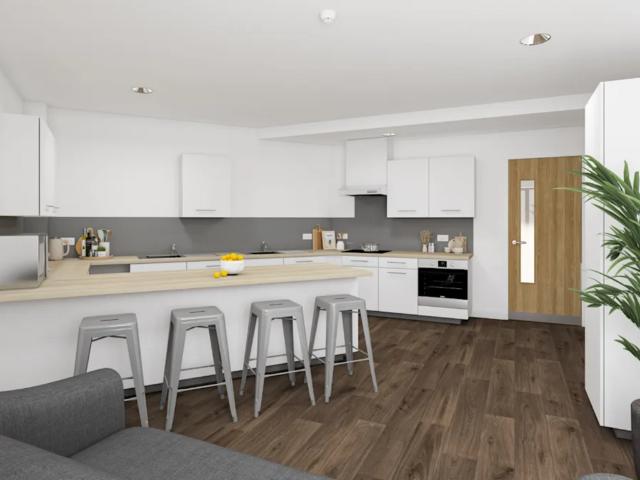 Classic Plus En Suite at Bridge. 1 bed private hall to rent £1,062 pcm £245 pw
