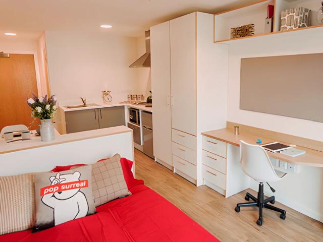 Classic Plus Studio