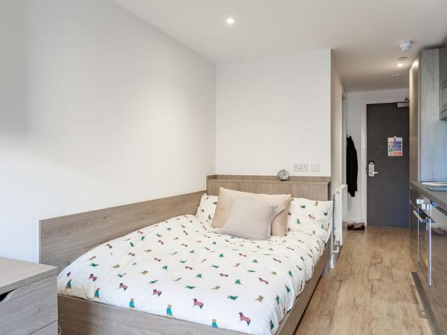 Classic Studio at Pavilion Point. Studio to rent £1,213 pcm £280 pw