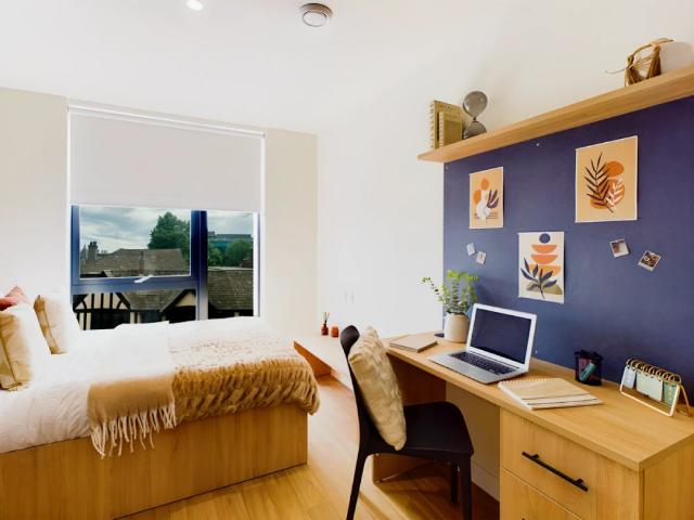 Classic Studio Plus Middle Floors 20m2