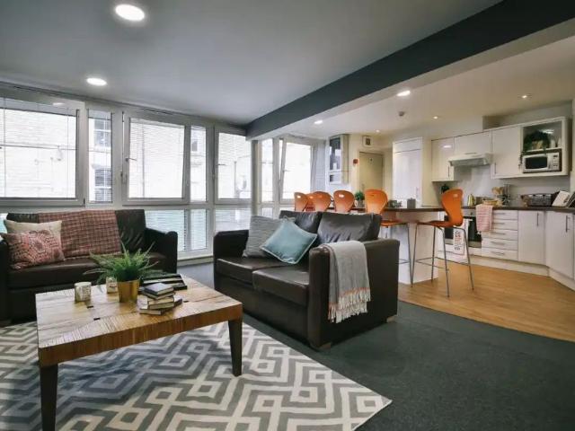 Classic Shared Apartment