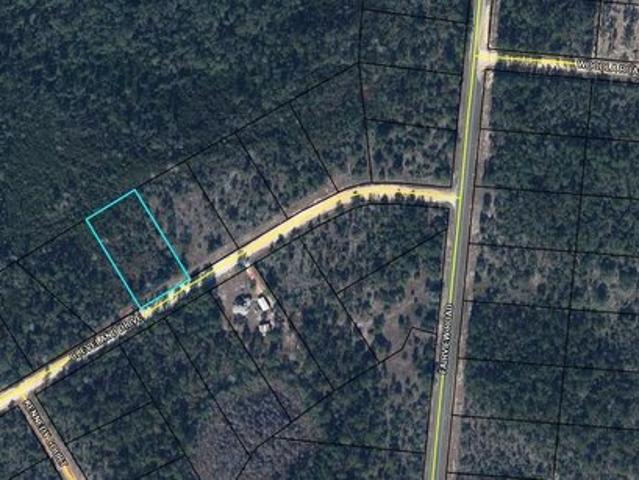 Cleveland Dr, Alford, FL 32420