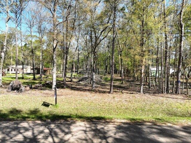 Cleveland TX 77328 LS94277298