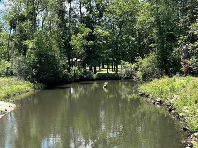 Cleyera Dr, Magnolia Springs, AL 36555