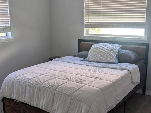 Clean and drug free rooms