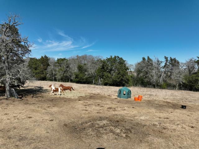 Clear Creek Ranch, 589+/ Acres Roberston County Morgan Lane, Franklin, US, TX