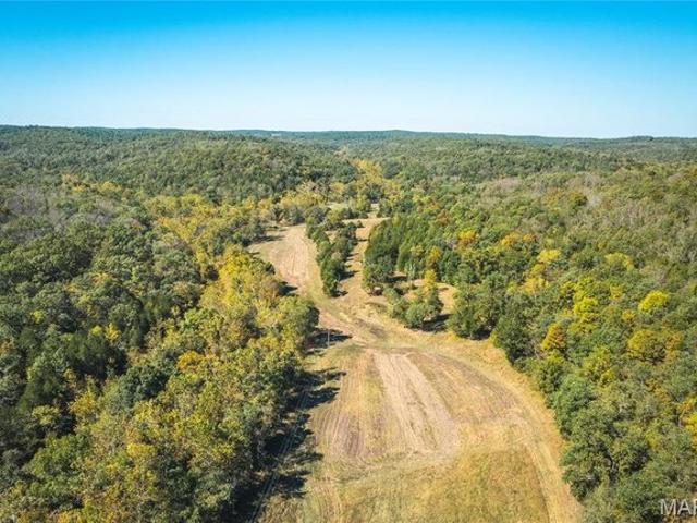 Clear Creek Rd, Richwoods, MO 63071