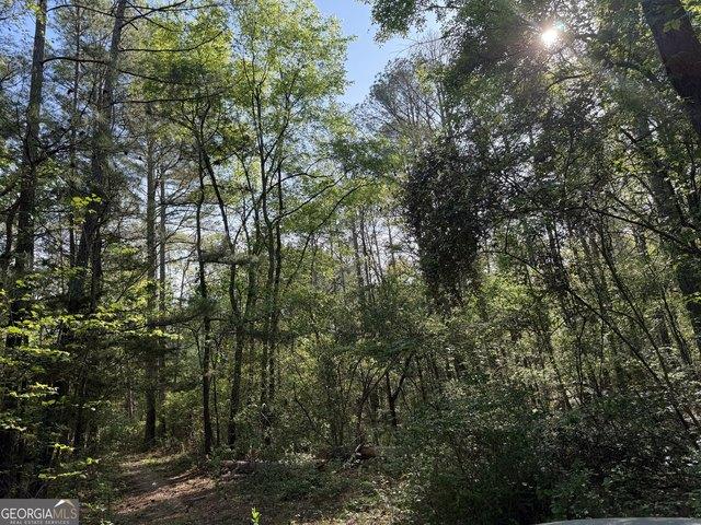 Clear Lake Dr, Adairsville, GA 30103