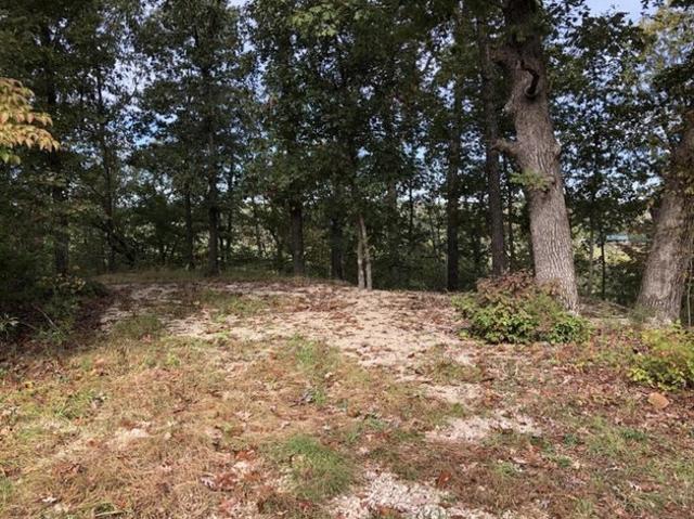 Clear Springs Trl, Windyville, MO 65783