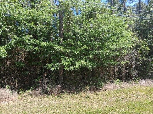 Clearview Dr, Theodore, AL 36582