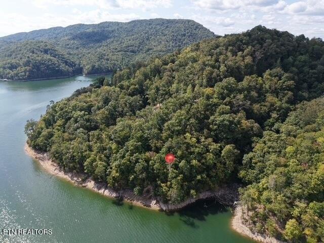 Clearwater Rd Lot 875, New Tazewell, TN 37825