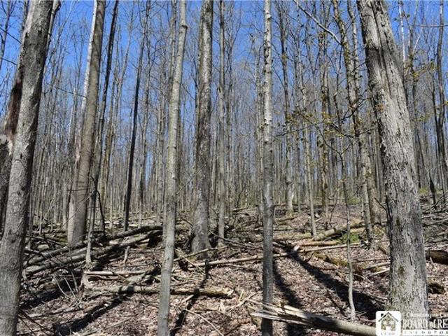 Cleland Rd, Cherry Creek, NY 14723