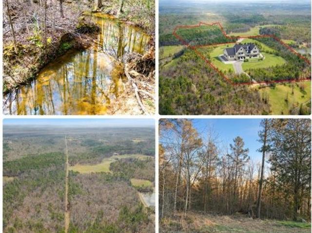 Clem Lowell Rd, Carrollton, GA 30116