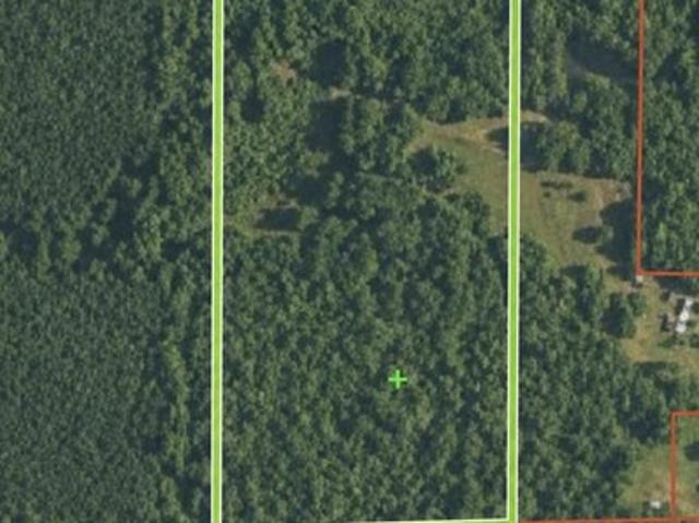 Clement, Benton, LA 71006