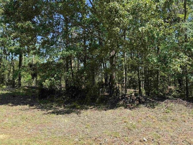 Clement Dr Lots 39 & 40, Savannah, TN 38372