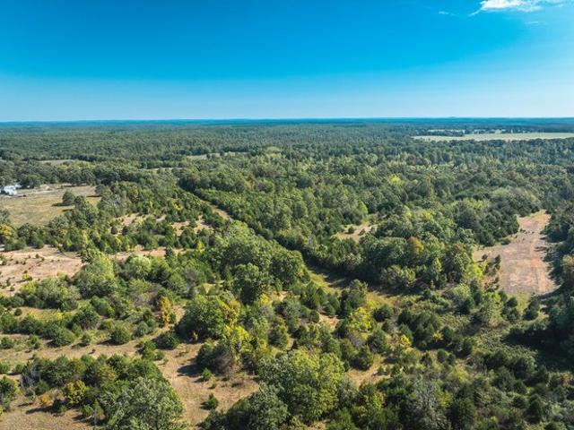 Clementine Outer Rd Lot 4, Newburg, MO 65550