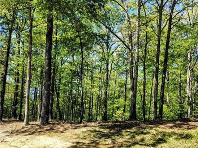 Clements Foley Rd, Northport, AL 35476
