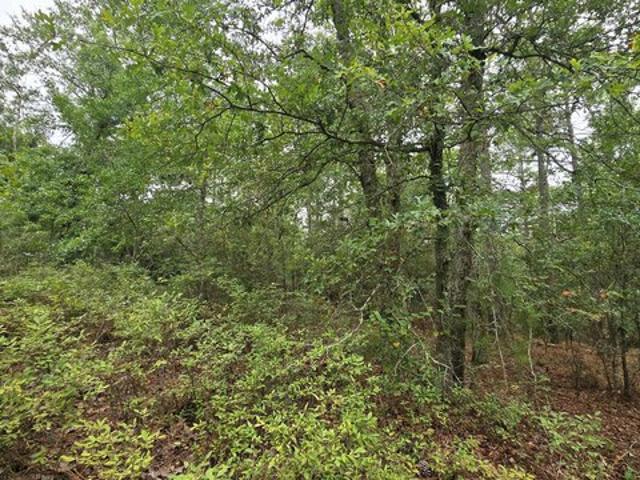 Cleora Murray Dr Lots 9 & 10, Aiken, SC 29801
