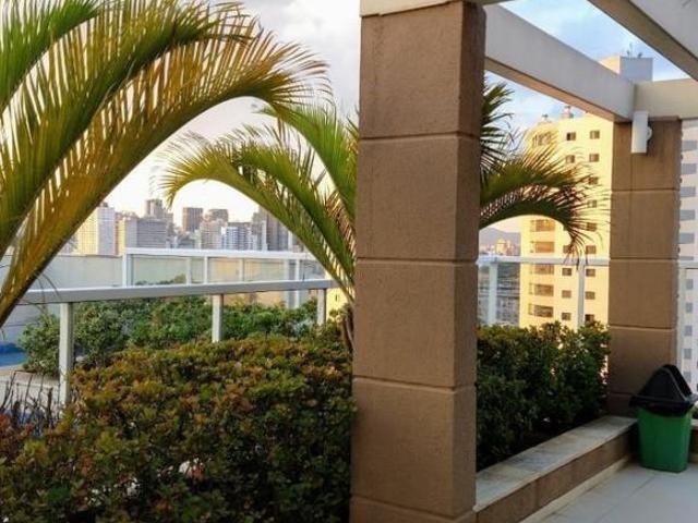 CLG 730 Apto theremaxcollection SMY8T