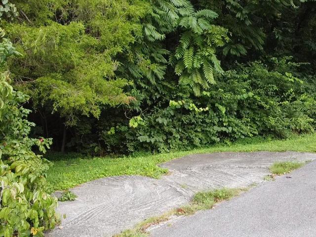 Cliffwood Drive 23, Newport, TN 37821