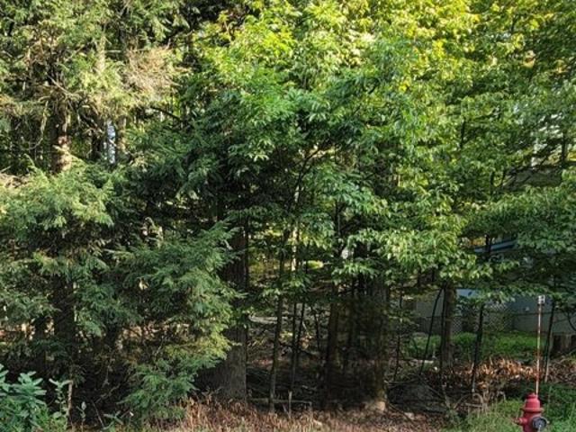Cliffwood Rd, Lake Ariel, Plot For Sale