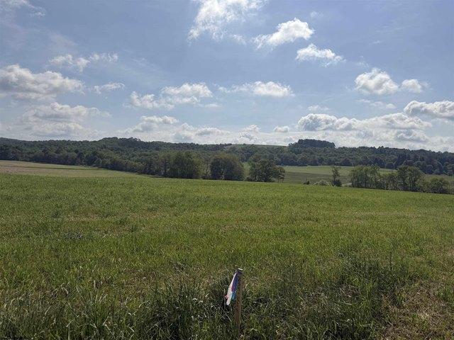 Clifton Salem Rd, Bruceton Mills, WV 26525