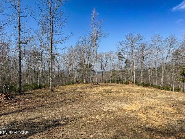 Clifty Creek Rd, Winfield, TN 37892