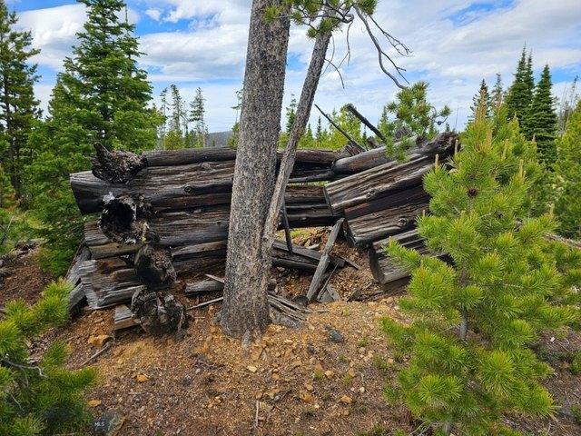 Climax Bullion Parks Rd, Elliston, MT 59728