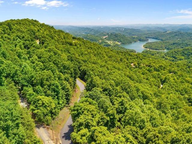 Clinch View Rd Unit 209, New Tazewell, TN 37825
