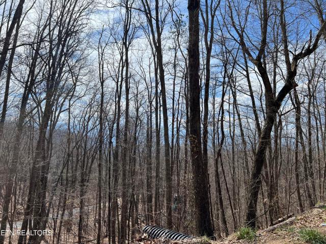 Clingmans View Lot 18, Sevierville, TN 37876