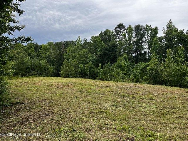Cline Rd Lot 3, Wesson, MS 39191