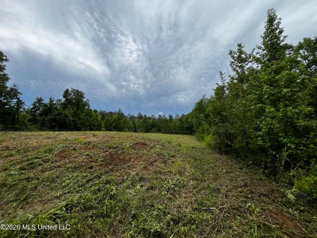 Cline Road, Wesson, MS 39191
