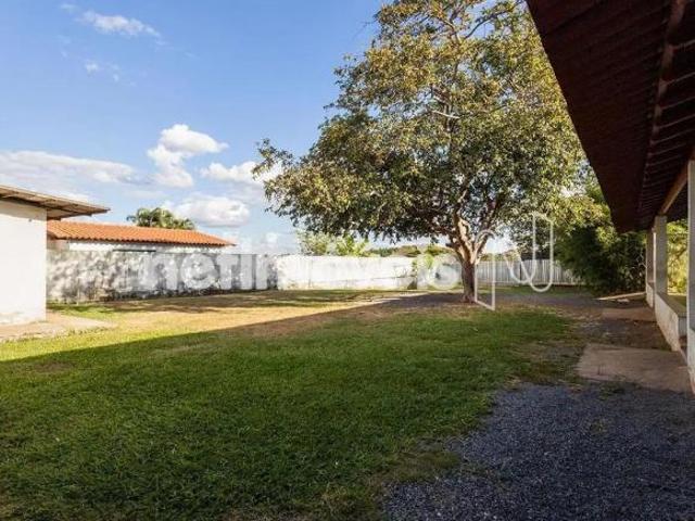 Clínica veterinária à venda – Asa Sul