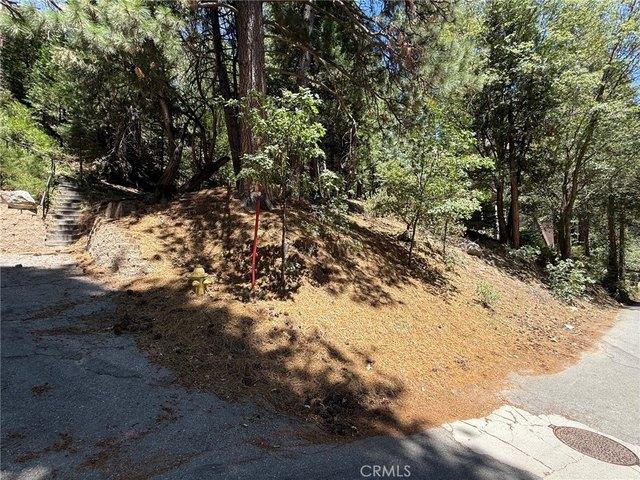 Club House Dr, Lake Arrowhead, CA 92352