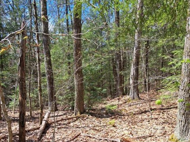 Clubhouse Dr, Otis, Plot For Sale