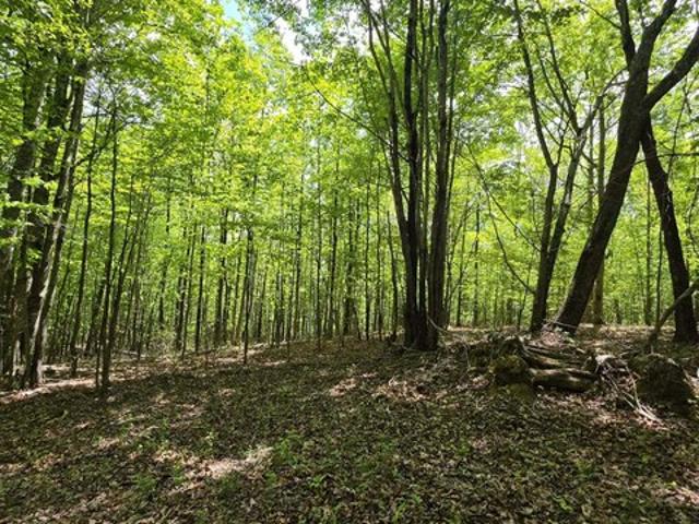 Cluck Cove Rd Lot 15B, South Pittsburg, TN 37380
