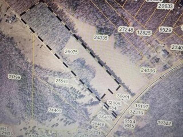 Cluster Springs Rd, South Boston, Plot For Sale