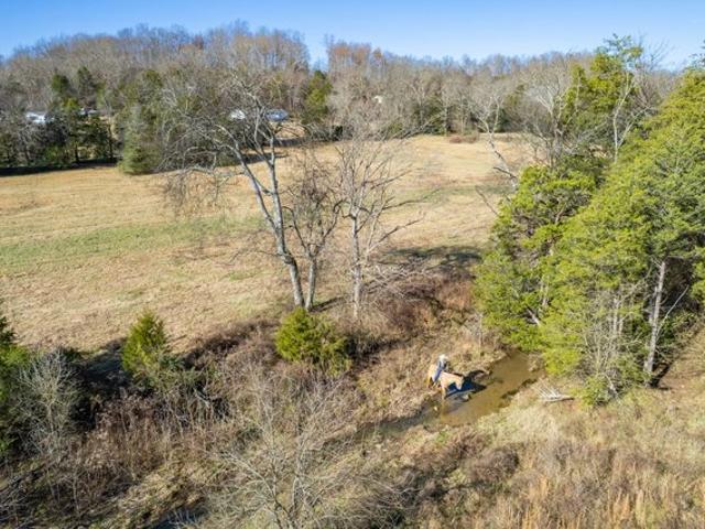 Clyde Foster Rd, Culleoka, TN 38451