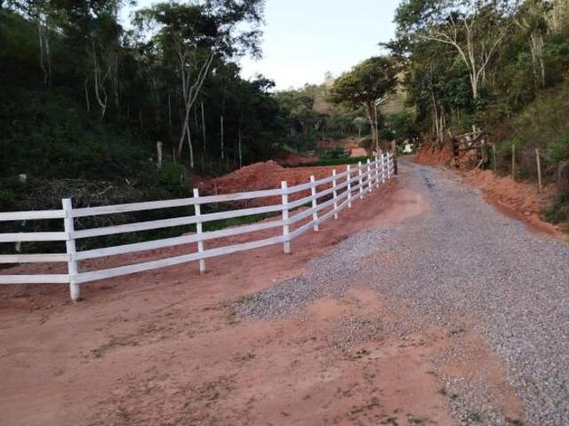CSI 479 FAZENDA MARIA CANDIDA SELVA SÃO DOMINGOS DO PRATA MG