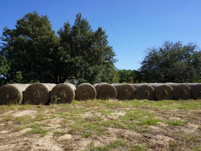 Cr4301 Plainview Rd, Naples, TX 75568 | MLS #21195